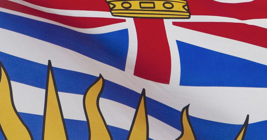 Dozens of BC mayors win by acclamation after standing unopposed