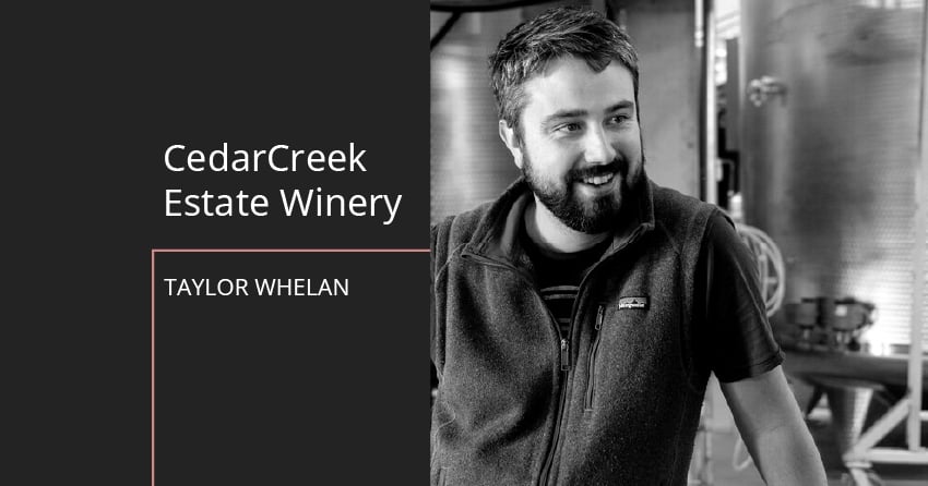 The Face of Wine Making: Taylor Whelan