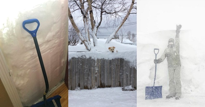 Best photos from Newfoundland's record breaking snowstorm