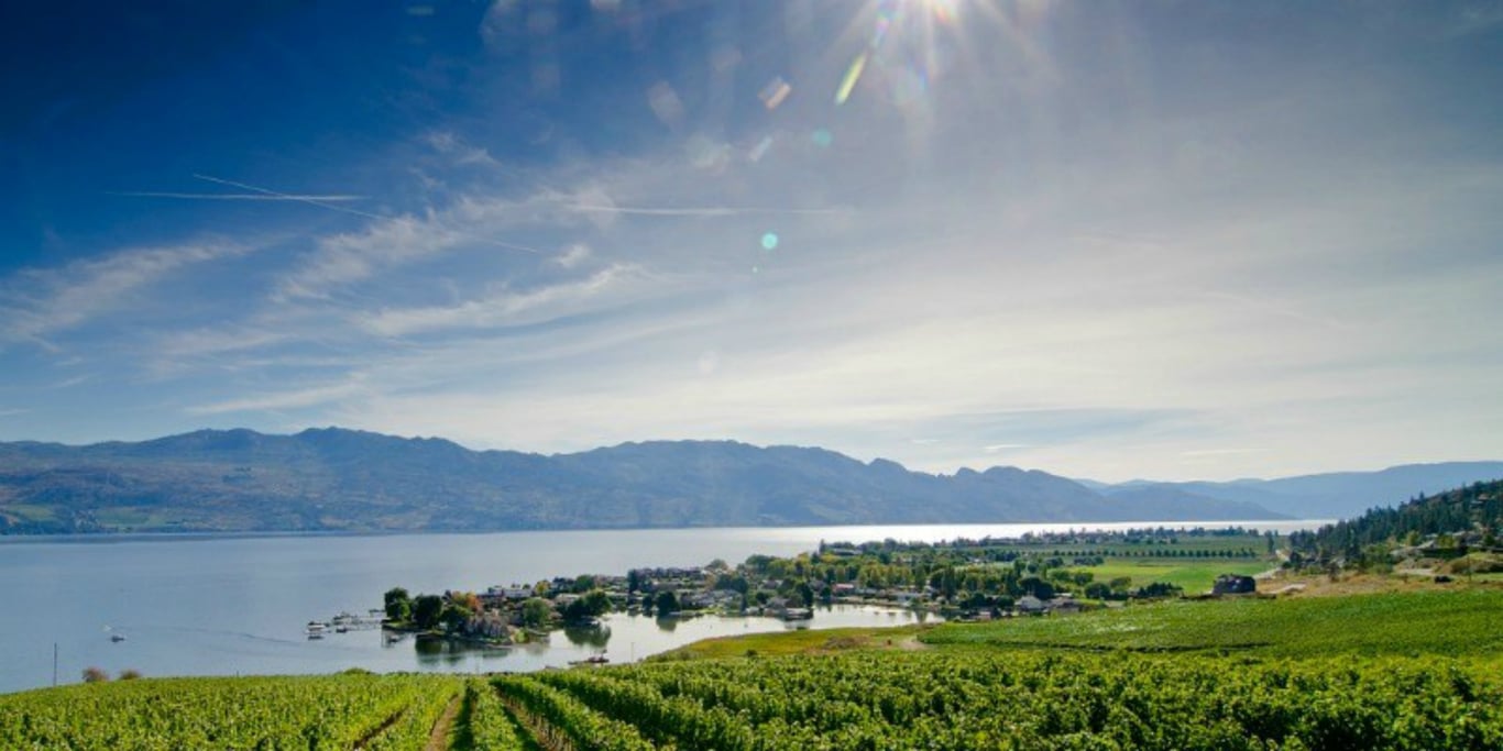 What to do with your out-of-town guests on the Westside this weekend