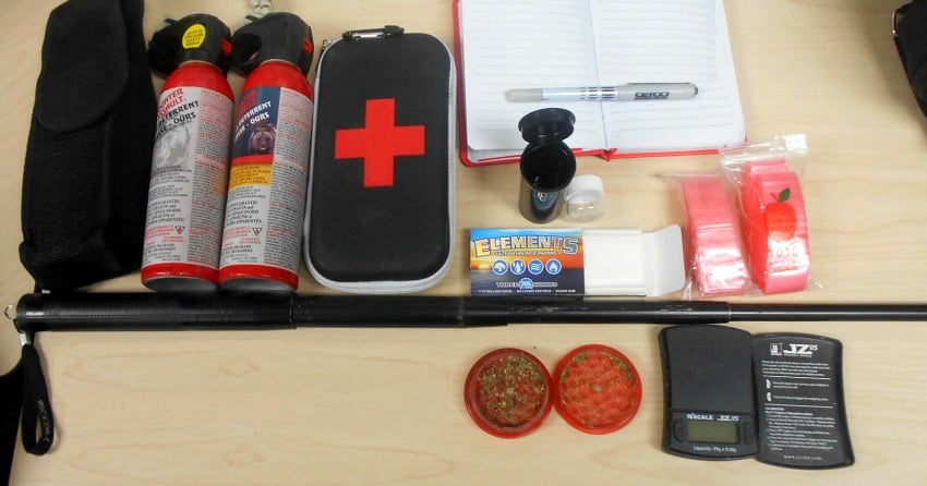 Suspicious vehicle report leads to drugs and weapons seizure