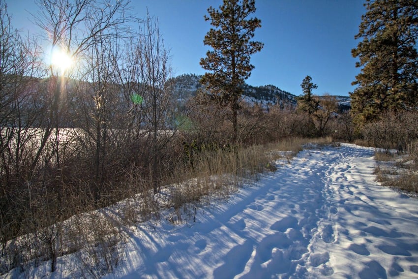 Something for everyone at Vaseux Lake