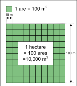 How Big Is A Hectare? A Better Way to Visualize The Size