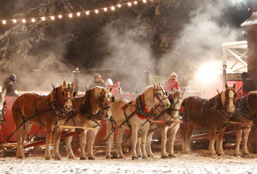 Where to go on a magical sleigh ride in the Okanagan this Christmas season