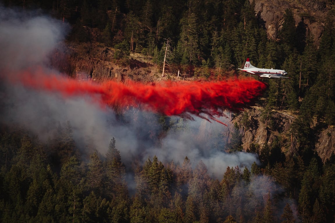 UPDATE: Mount Miller wildfire north of Peachland 'held' at 0.8 hectares