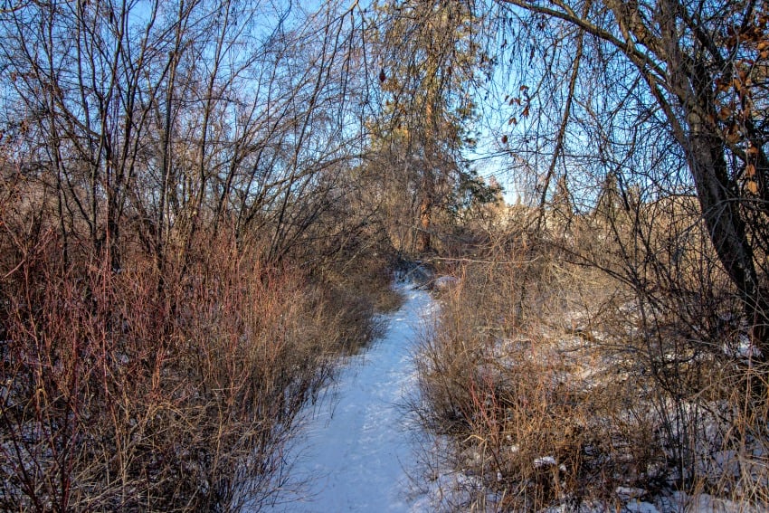 Something for everyone at Vaseux Lake