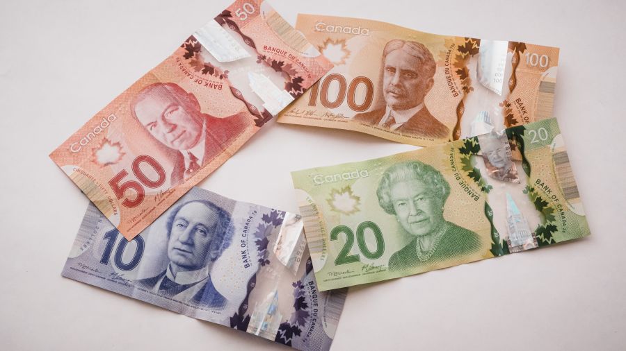 Half of Canadians want cash for Christmas