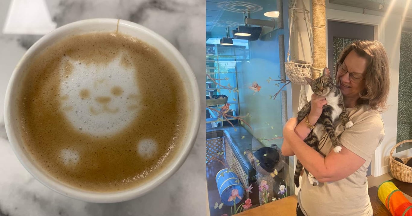VIDEO: It's opening day for Kelowna's first cat café