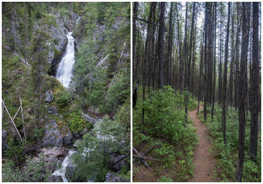An unexpected adventure at Conkle Lake Provincial Park