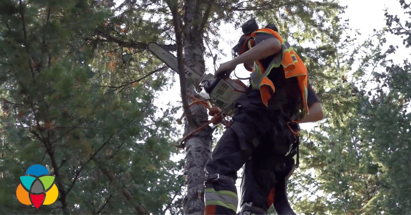 VIDEO: Taking the classroom to the forest in this innovative high ...