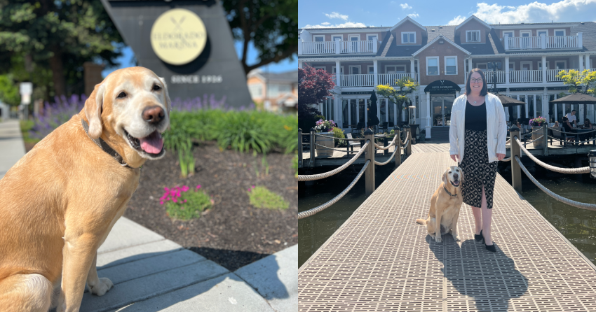 Winston, former greeter at The Empress, finds new home at Kelowna’s ...