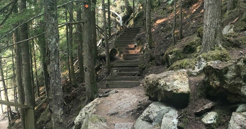 Body of man recovered from Sicamous Creek Falls Trail after fatal fall