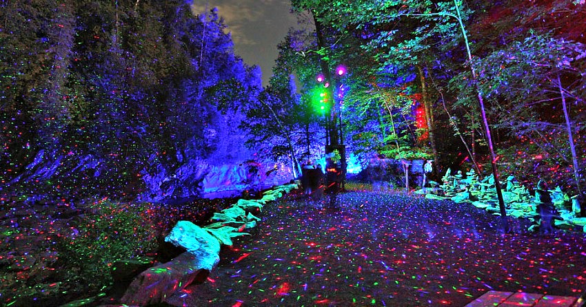 Whistler's magical lit up forest walk opens next week