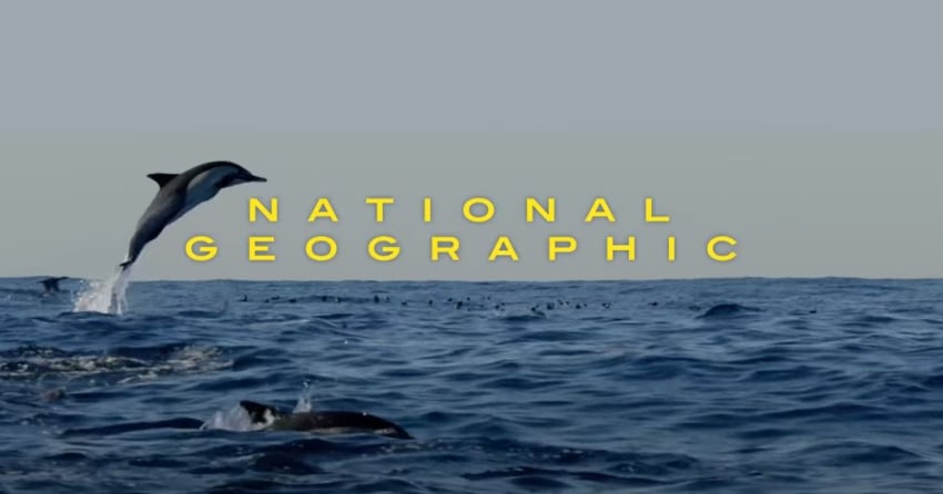 Here’s everything coming to Disney Plus in July 2022