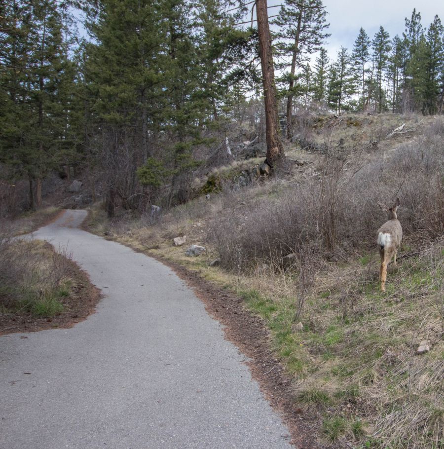 Predator Ridge's lakeview hike that you don't want to miss