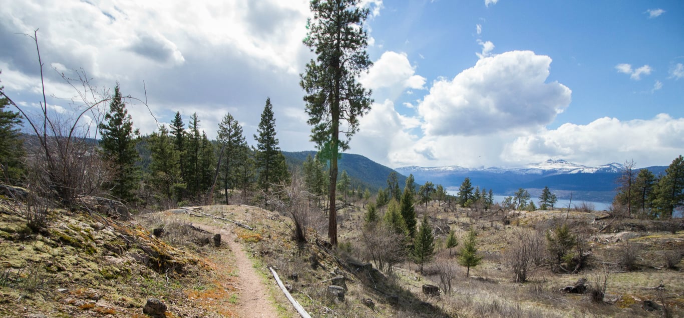 Predator Ridge's lakeview hike that you don't want to miss