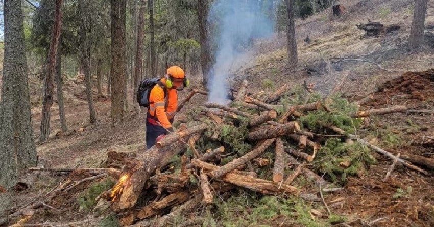 Lengthy wildfire mitigation project starts in Lake Country next week