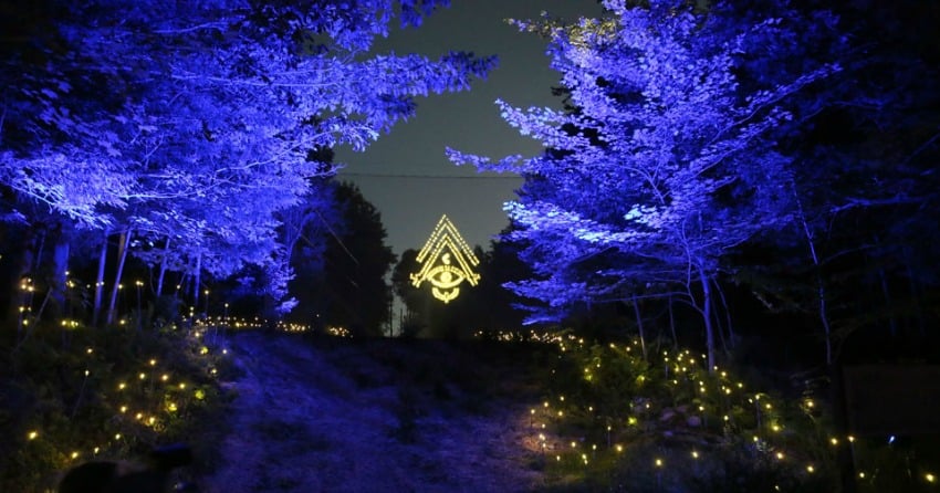 Whistler's magical lit up forest walk opens next week
