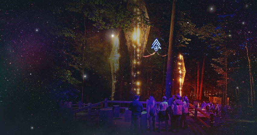 Whistler's magical lit up forest walk opens next week
