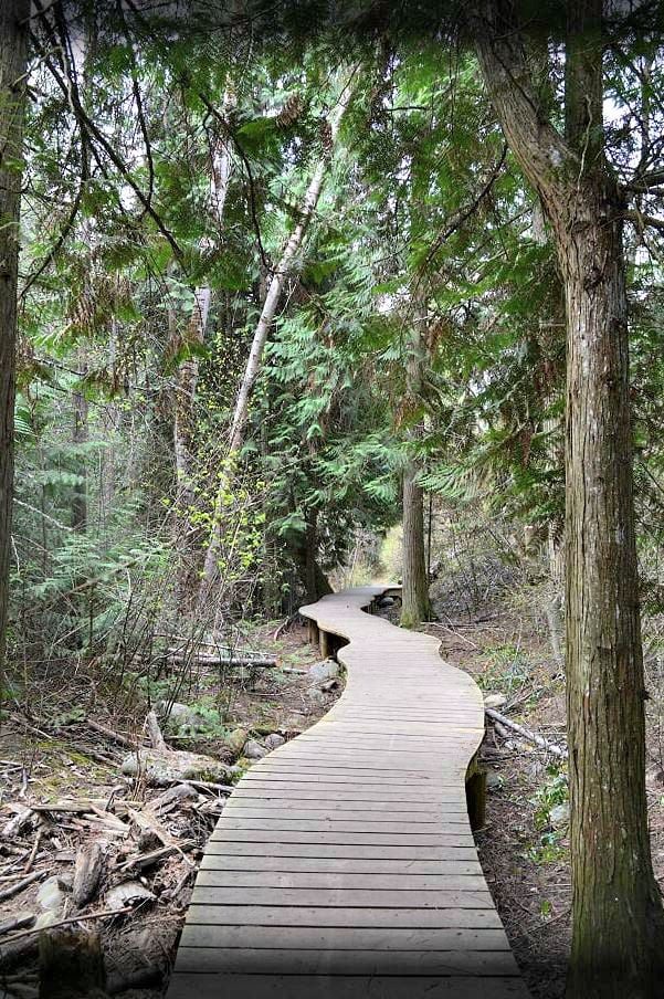 A Gorgeous Hike Through Mill Creek Regional Park
