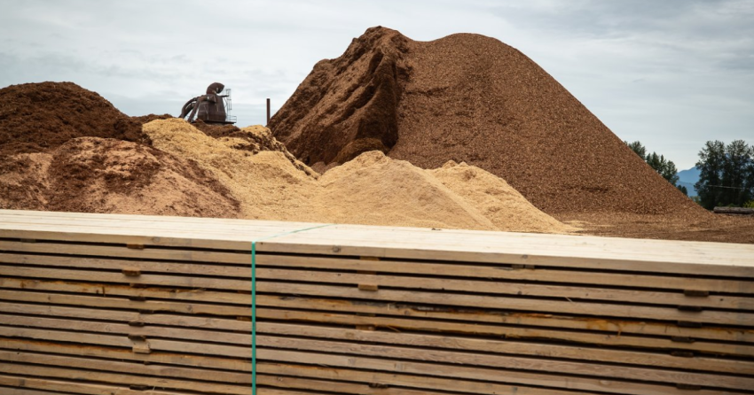 Union 'devastated' by BC mill closures, says Canfor should lose tenures
