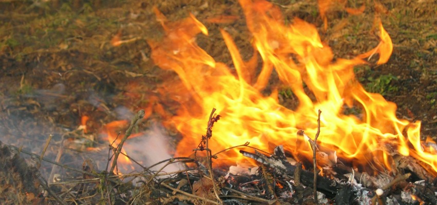 Crews Already Mopping Up Small Wildfire Near Brenda Mines