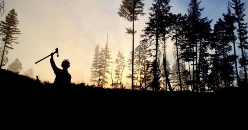 How big is one hectare?