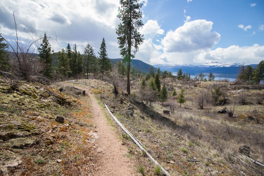 Predator Ridge's lakeview hike that you don't want to miss