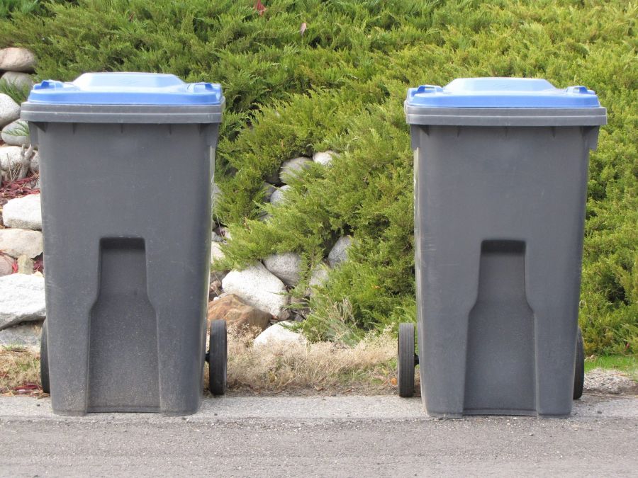 What goes in the blue bin?