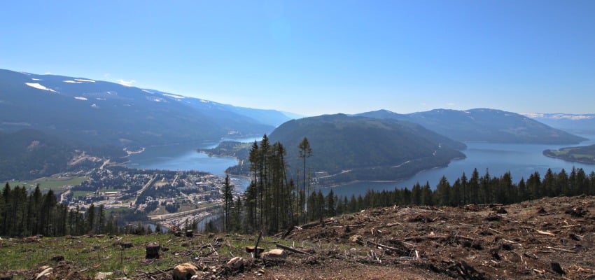 Sicamous sights that will leave you hanging