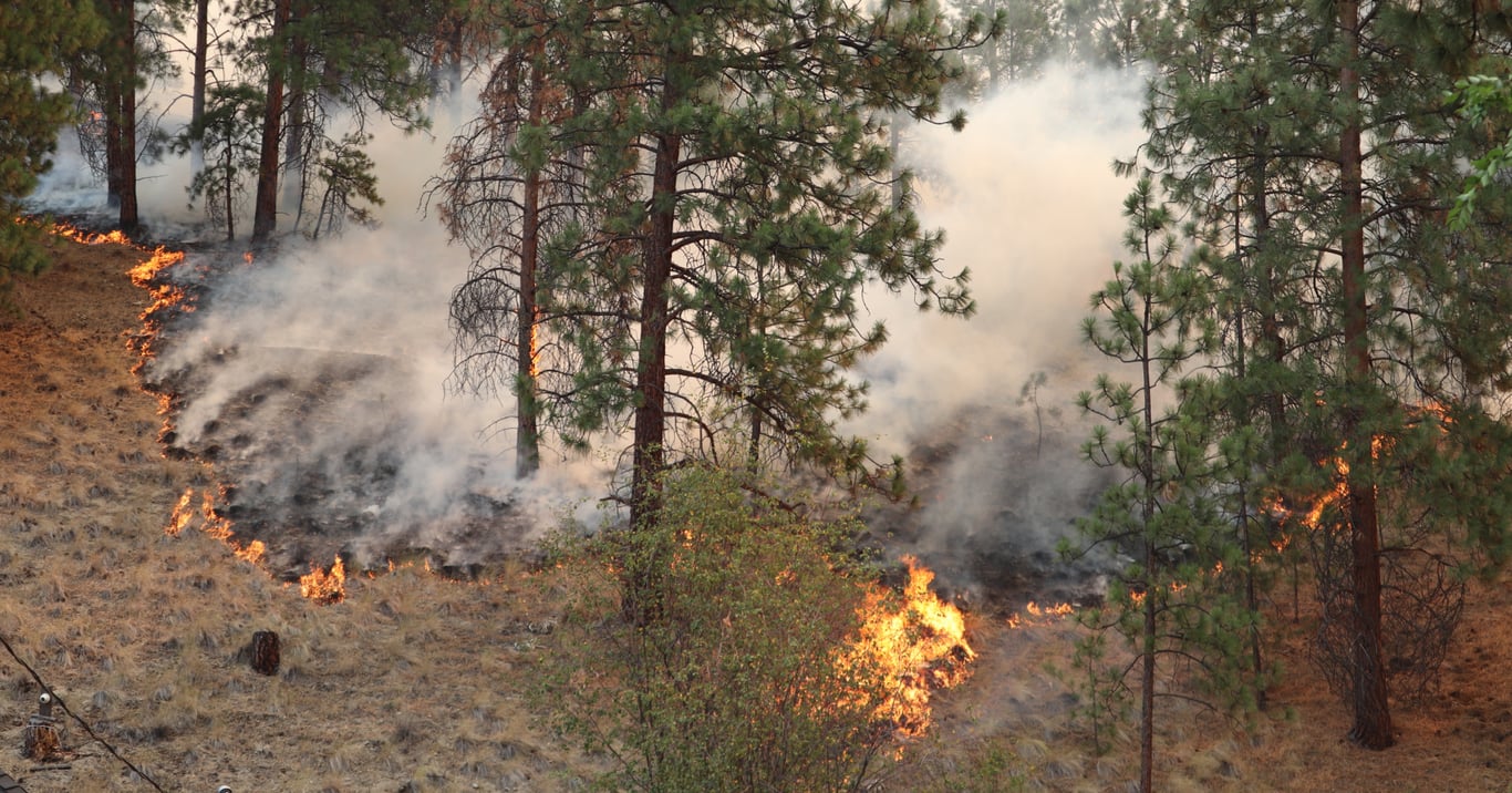 UPDATE: New size estimate for Lake Country fire as wind starts to ease