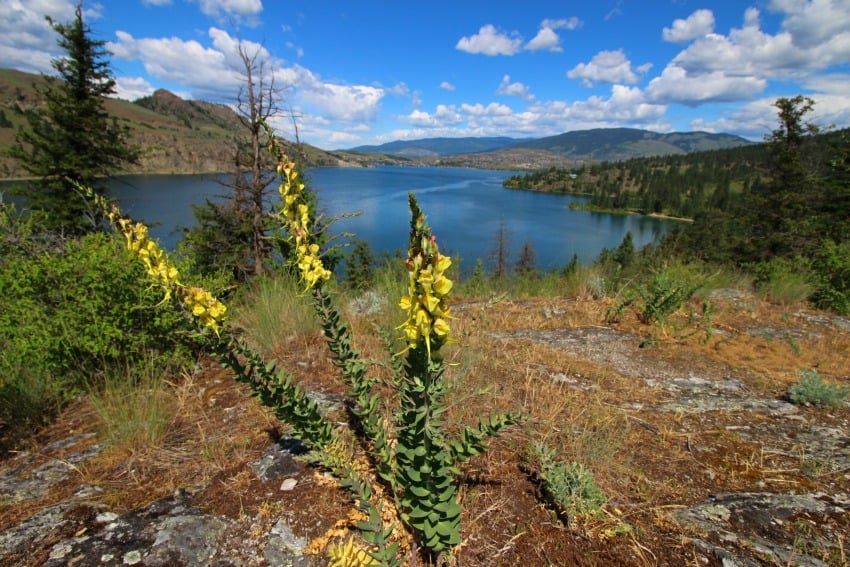 Marvelous views of Kalamalka Lake!