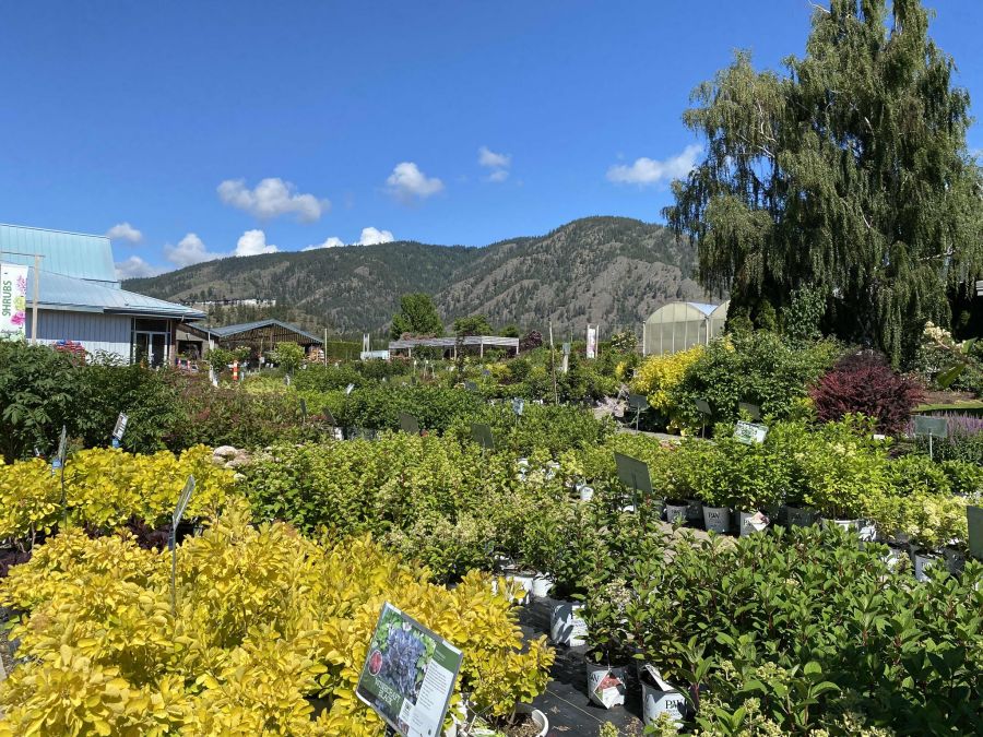 Bylands Garden Centre to open new Kelowna location this weekend