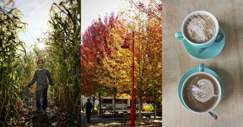 PHOTOS: A list of some of Kelowna’s most Instagrammable fall locations