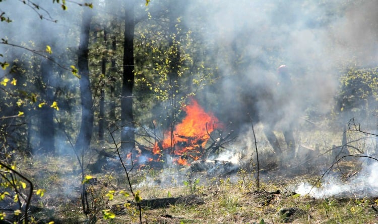 'It only takes one spark' How to mitigate fire risks on your property