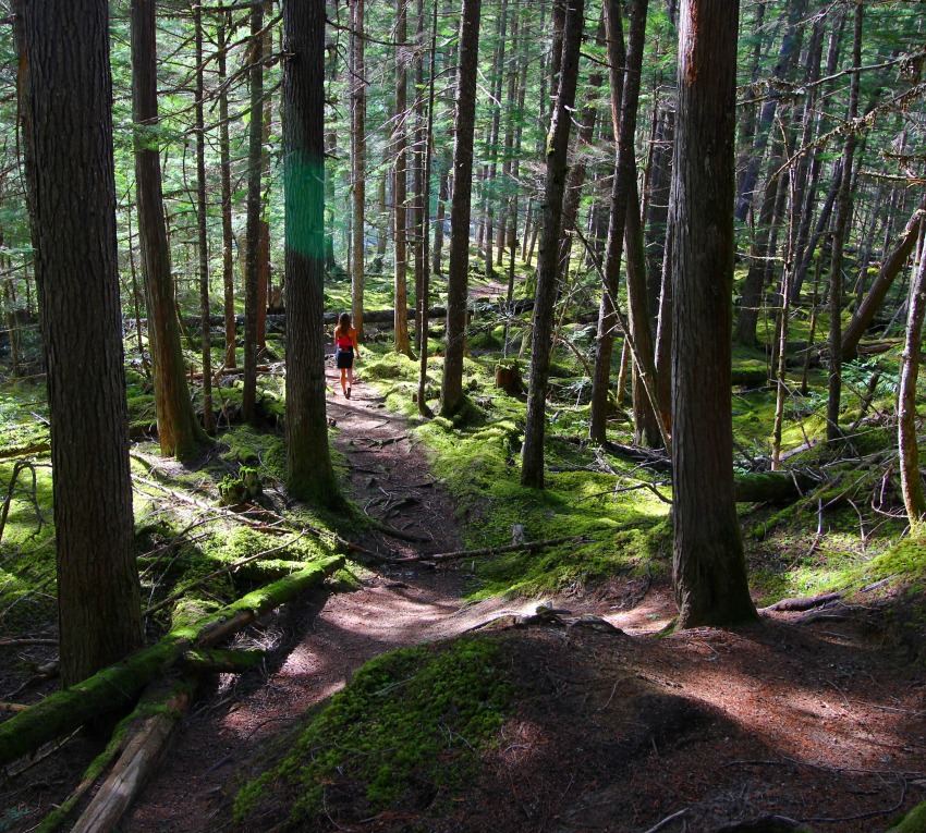 An unforgettable experience at Albas Falls