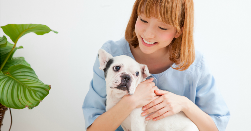 Dog's personality may reflect owner’s, study suggests