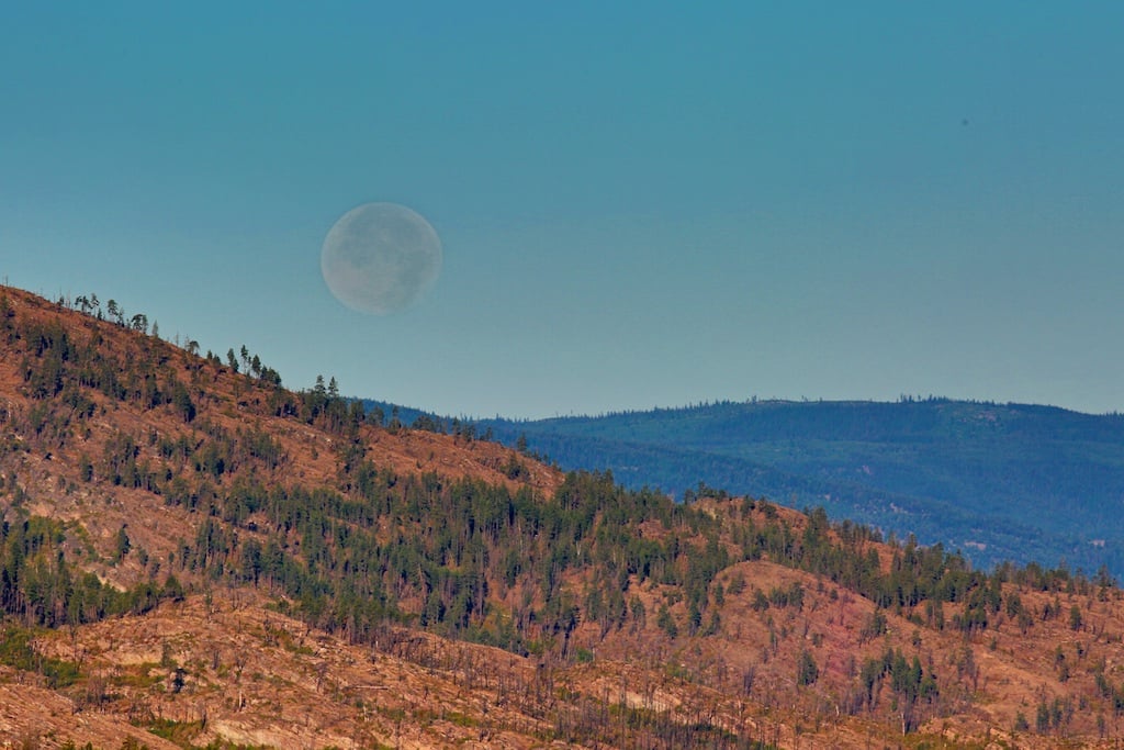 Here’s the Recent Blue Moon—And What a Blue Moon Actually Is