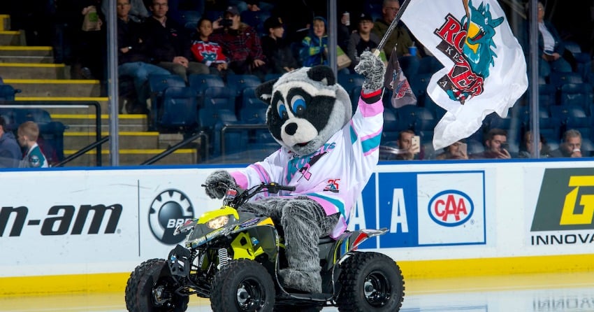 Why a raccoon? The untold story of Rocky the Raccoon