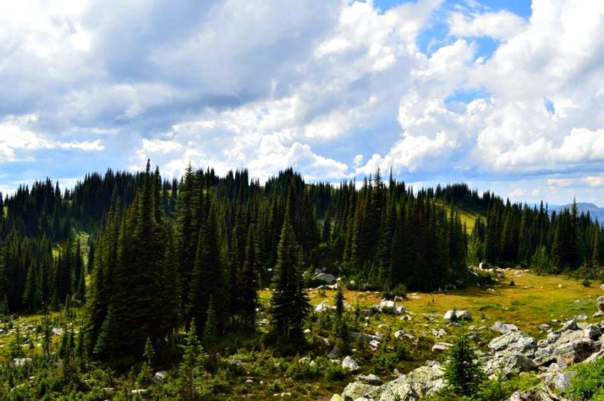 Fantastic Hike to the Top of Mount Macpherson Summit
