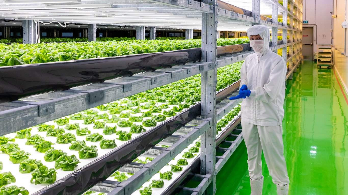 We glimpse the future at large-scale Okanagan vertical farm 'Avery ...
