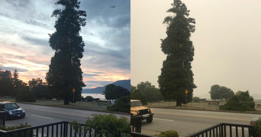 Vancouver currently has the worst air quality of all the world's major ...
