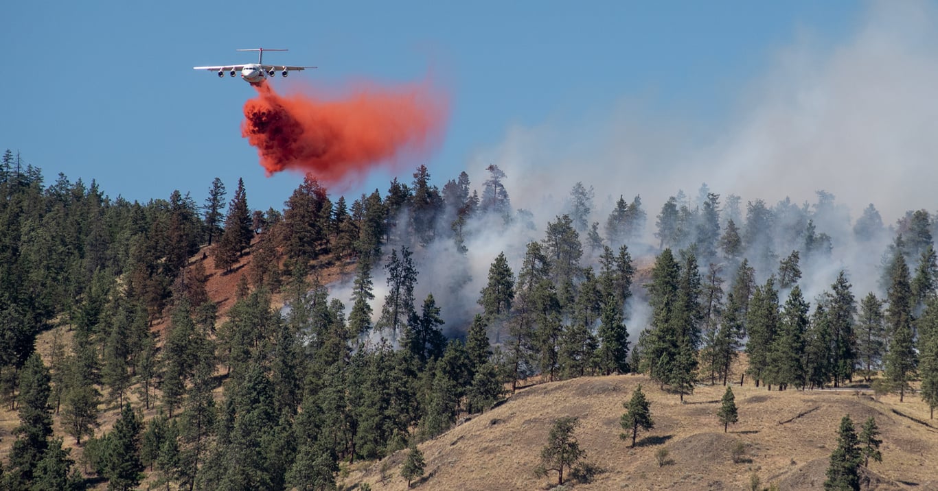Knox Mountain Park will reopen at noon after near week-long closure due ...