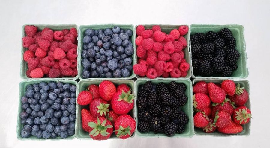Where you can get locally grown fruit in the Okanagan