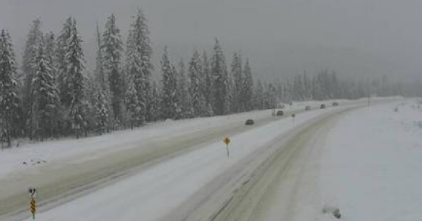 20 to 25 cm of snow expected to fall near the Rogers Pass