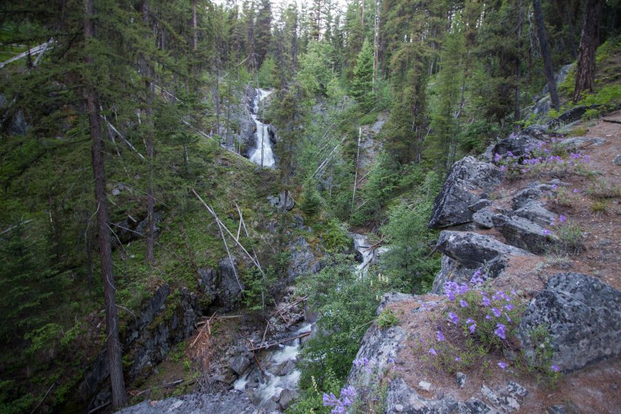 An unexpected adventure at Conkle Lake Provincial Park