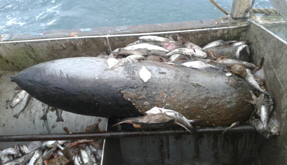 WWII Bomb Caught in Fisherman's Net off U.K. Coast