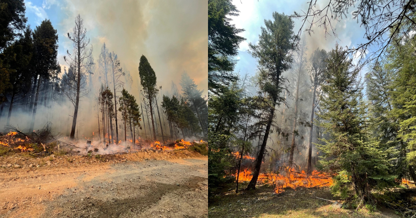 PHOTOS: BCWS continues to battle 2,700 hectare blaze south of Kamloops