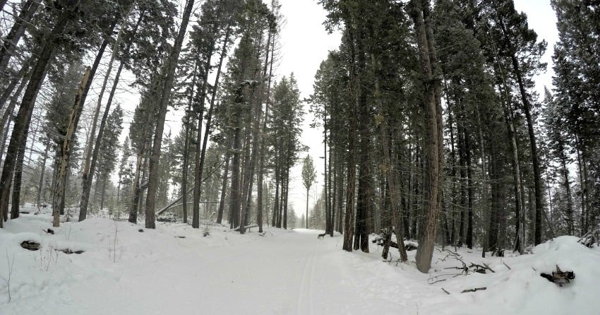 Exploring the wintry trails at Stake Lake
