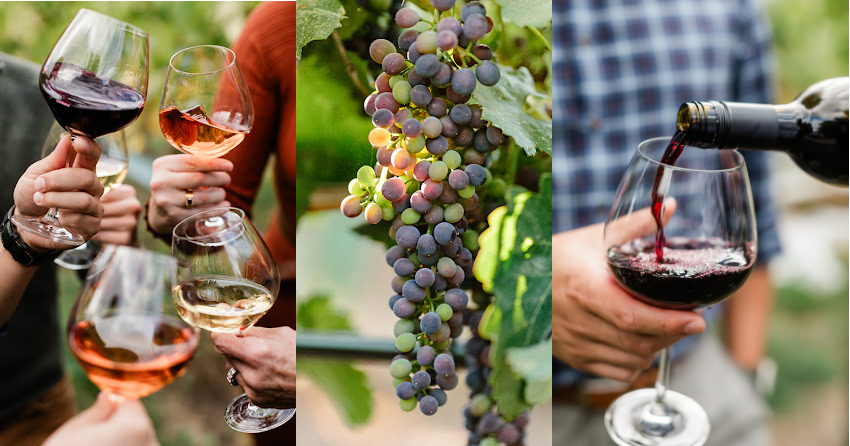 In the wake of disaster, Wine Sector Support Program extended